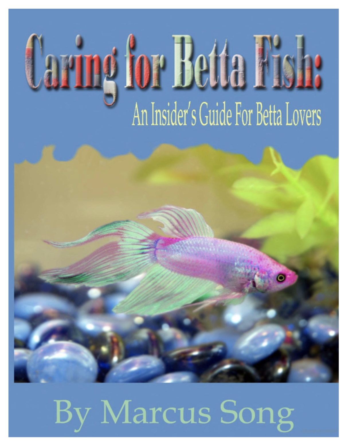 10 Reasons You Need a Guidebook for Your Bettas – Wild Betta Blog | How ...