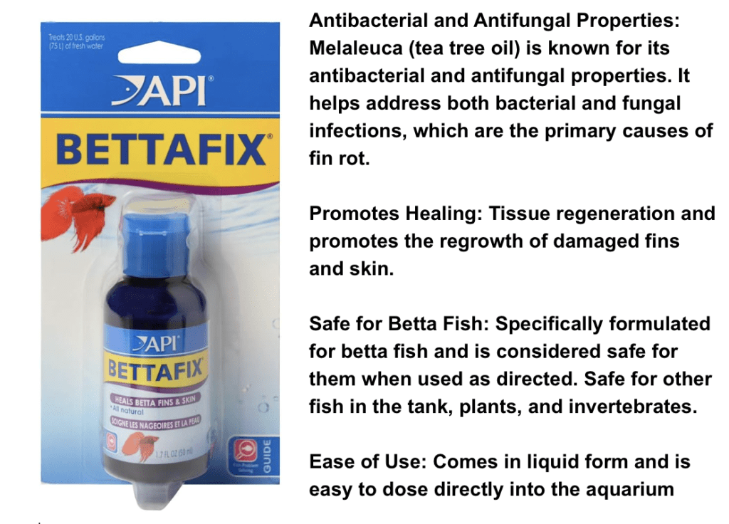 Betta Fish Fin Rot: Fin Loss, Symptoms, Causes & Treatment – Wild Betta ...