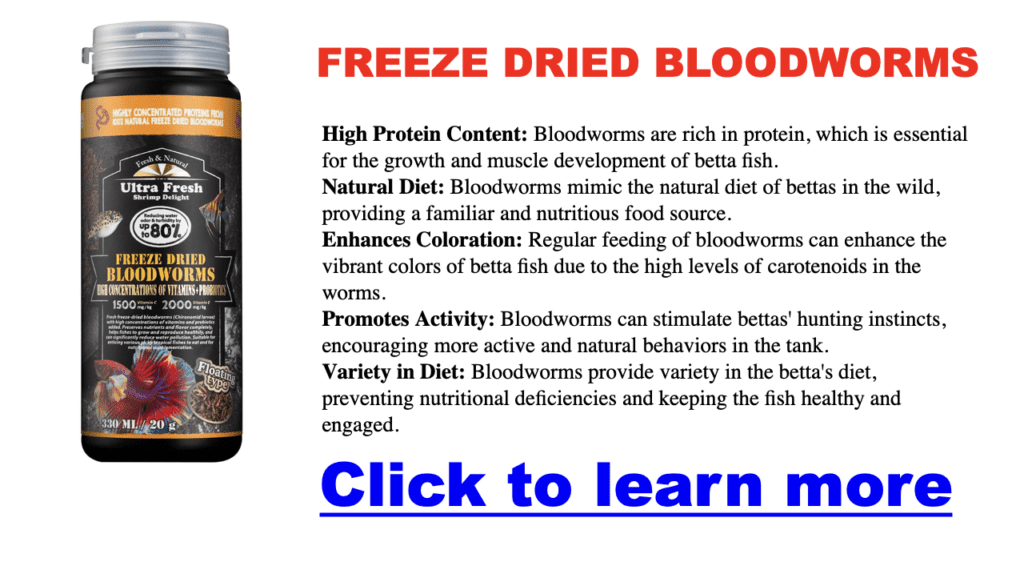 Betta Smaragdina – Emerald Betta – Full Caresheet – Wild Betta Blog ...